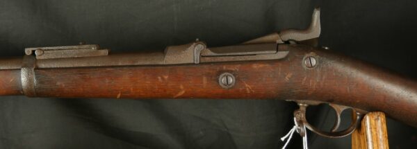 079-0124-8569, Springfield TD 45-70 with 1884 Buffington rear sight ...